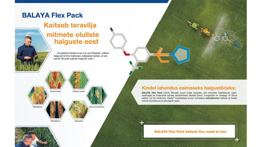 BALAYA Flex Pack